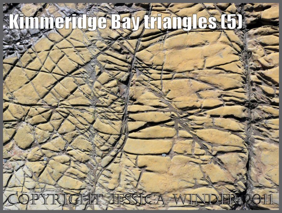 Kimmeridge Bay triangles – Jessica's Nature Blog