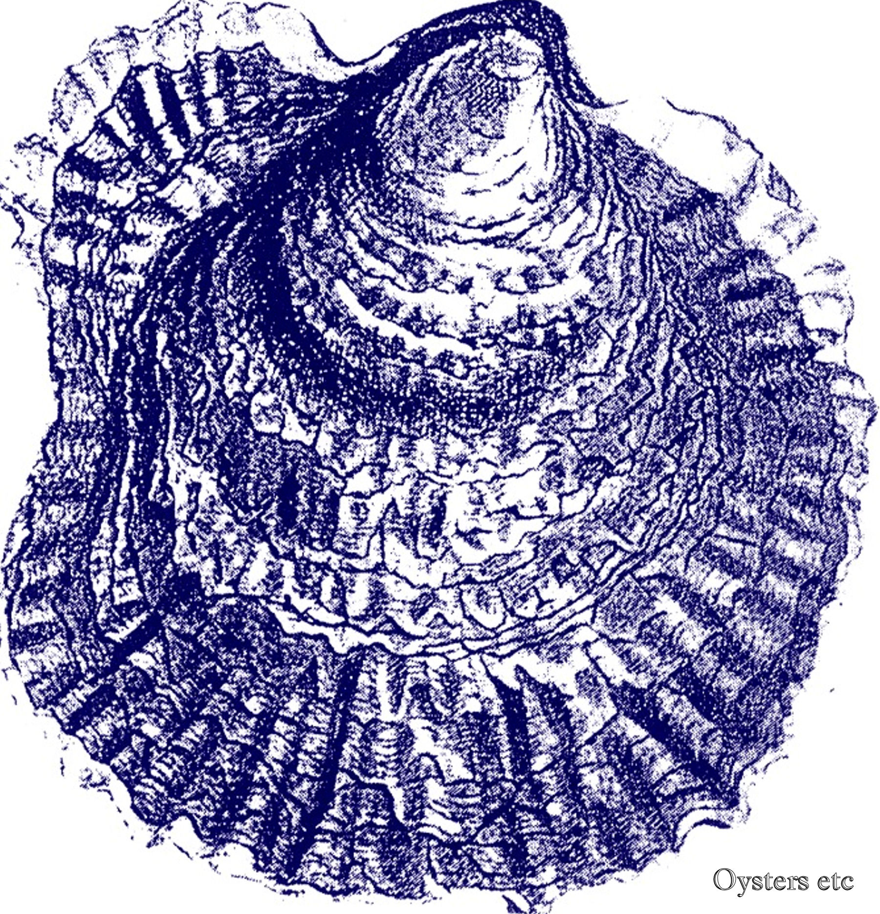 Stories that old oyster shells tell – part 1 – Jessica's Nature Blog