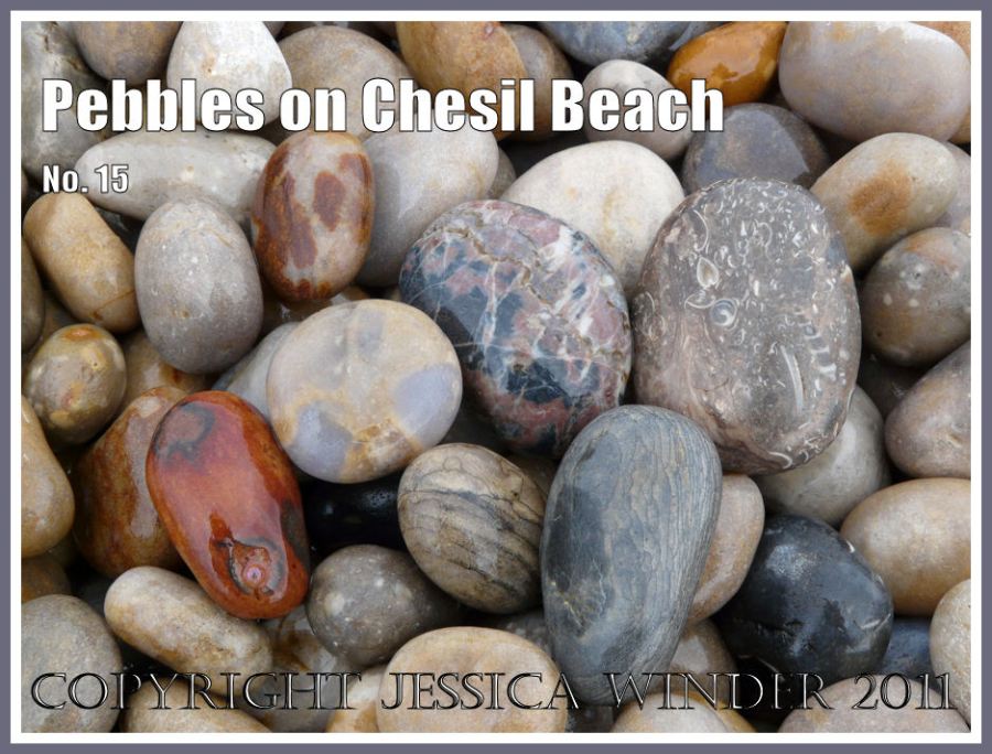 Pebbles on Chesil Beach 1 – Jessica's Nature Blog