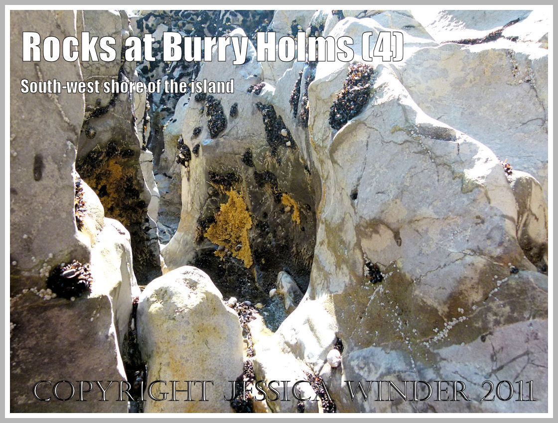 Rocks at Burry Holms – Part 1 – Jessica's Nature Blog