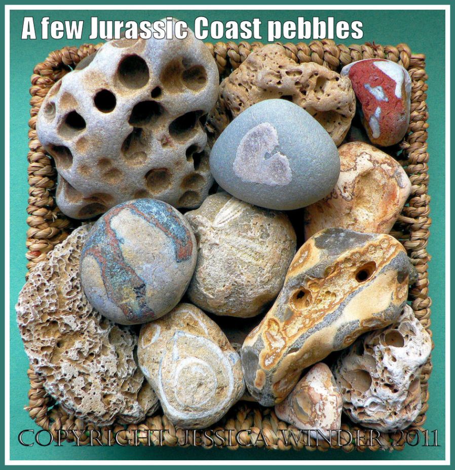 A few Jurassic Coast pebbles – Jessica's Nature Blog