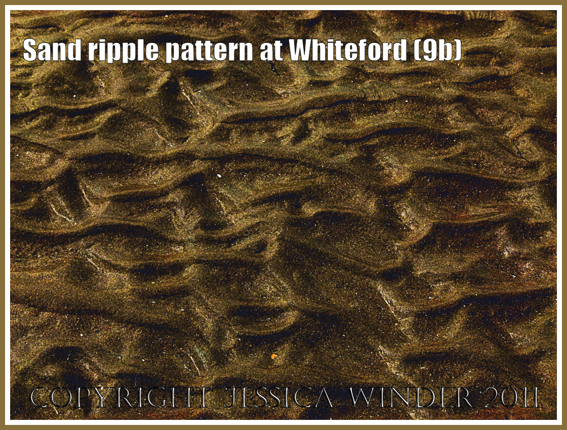Sand ripple patterns at Whiteford – Part 2b – Jessica's Nature Blog