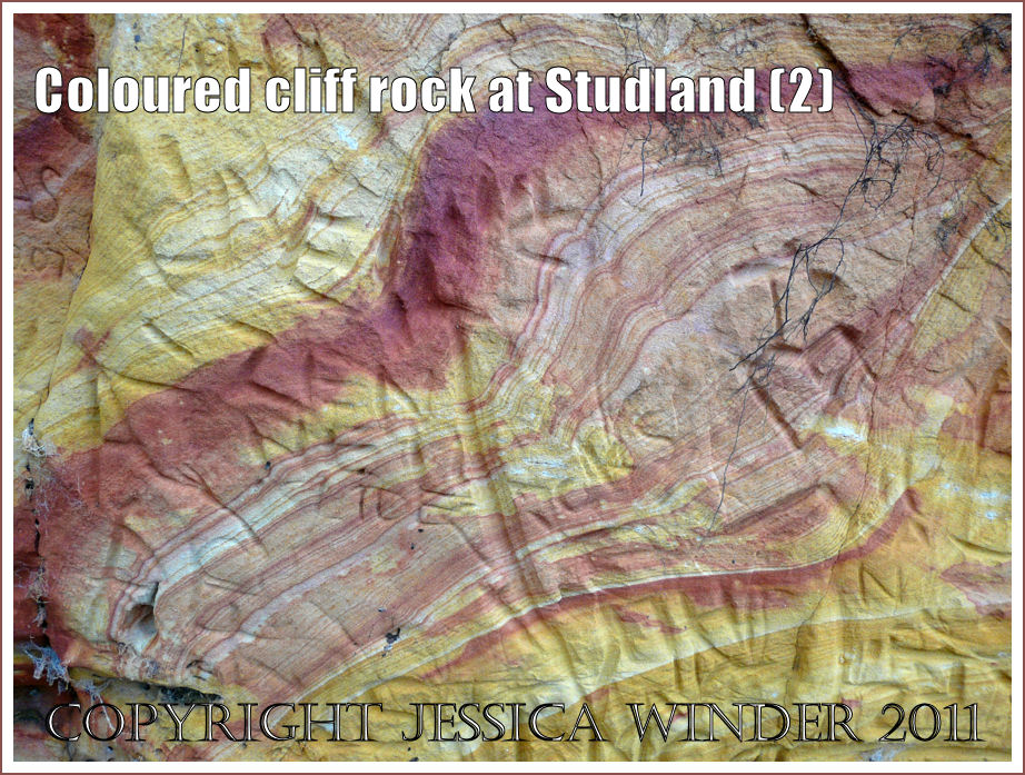 Coloured cliff rock at Studland – Jessica's Nature Blog