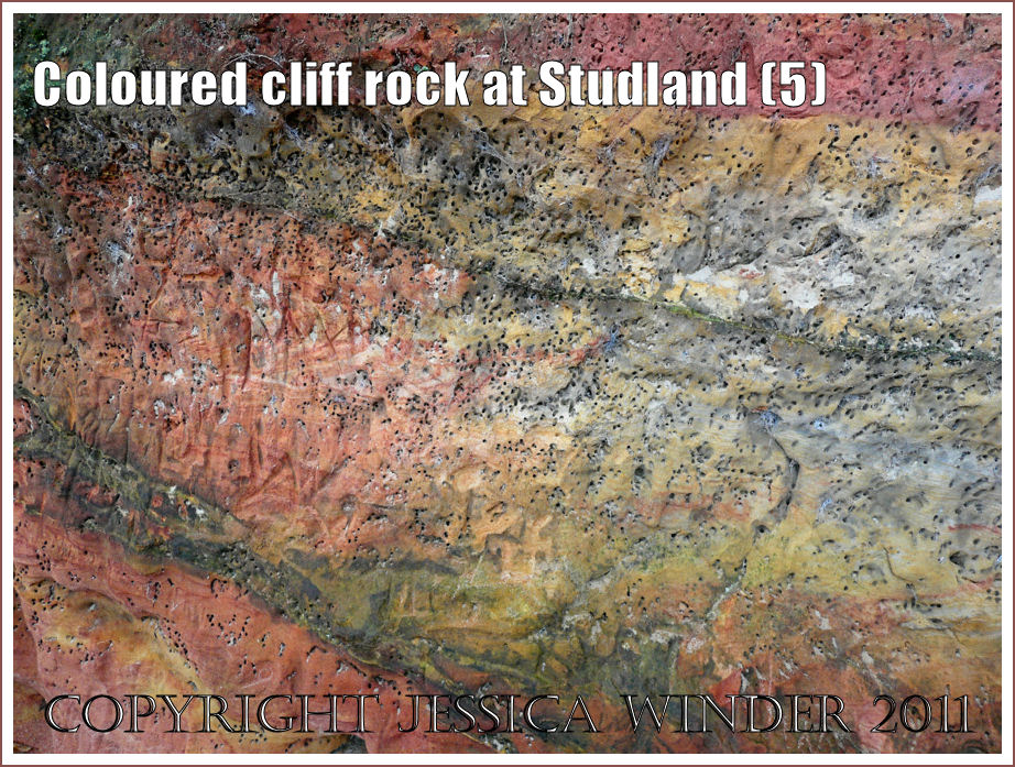 Coloured cliff rock at Studland – Jessica's Nature Blog