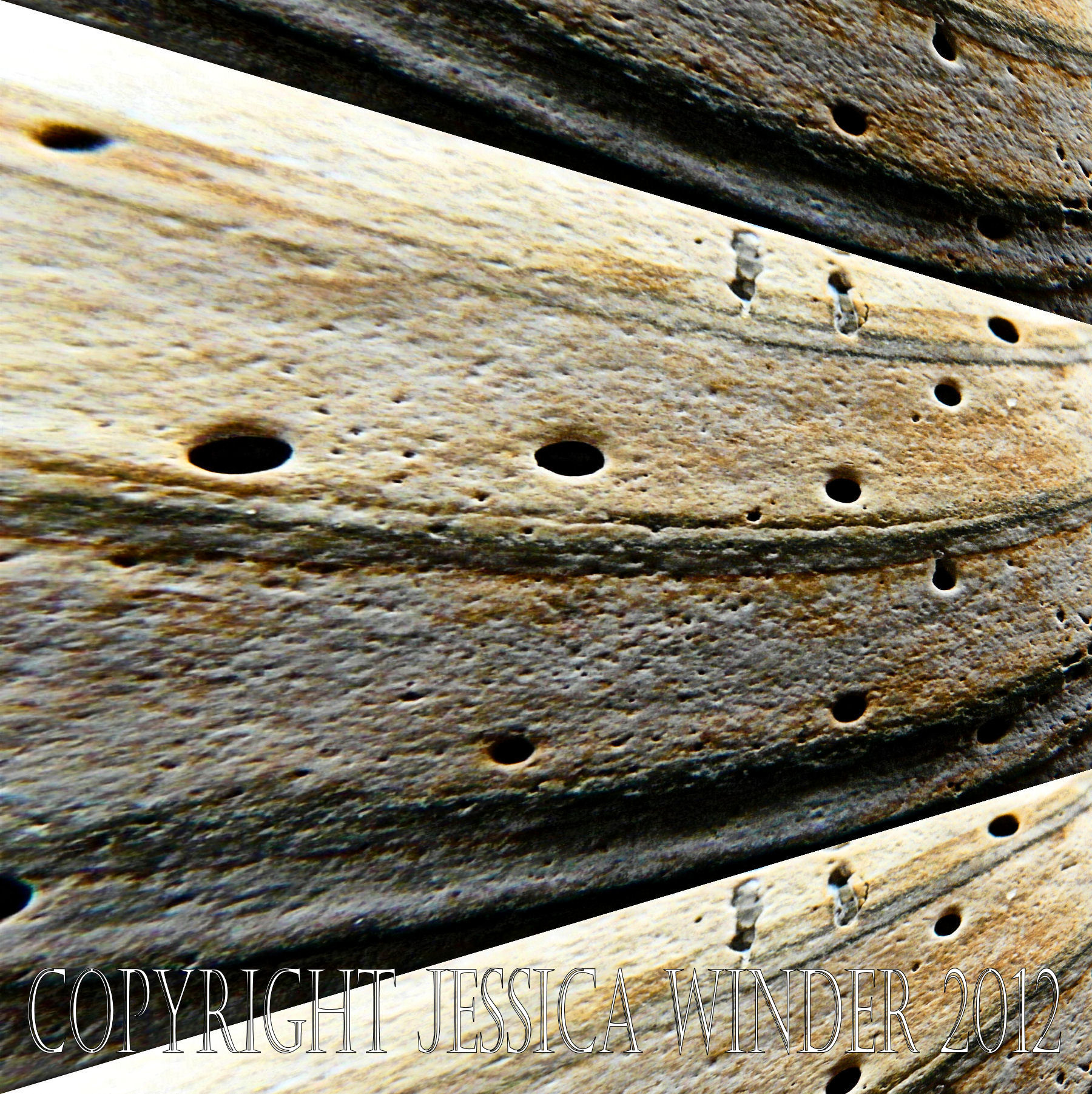 Shelly Perspective 10 – Digitally altered macro photograph of the ...