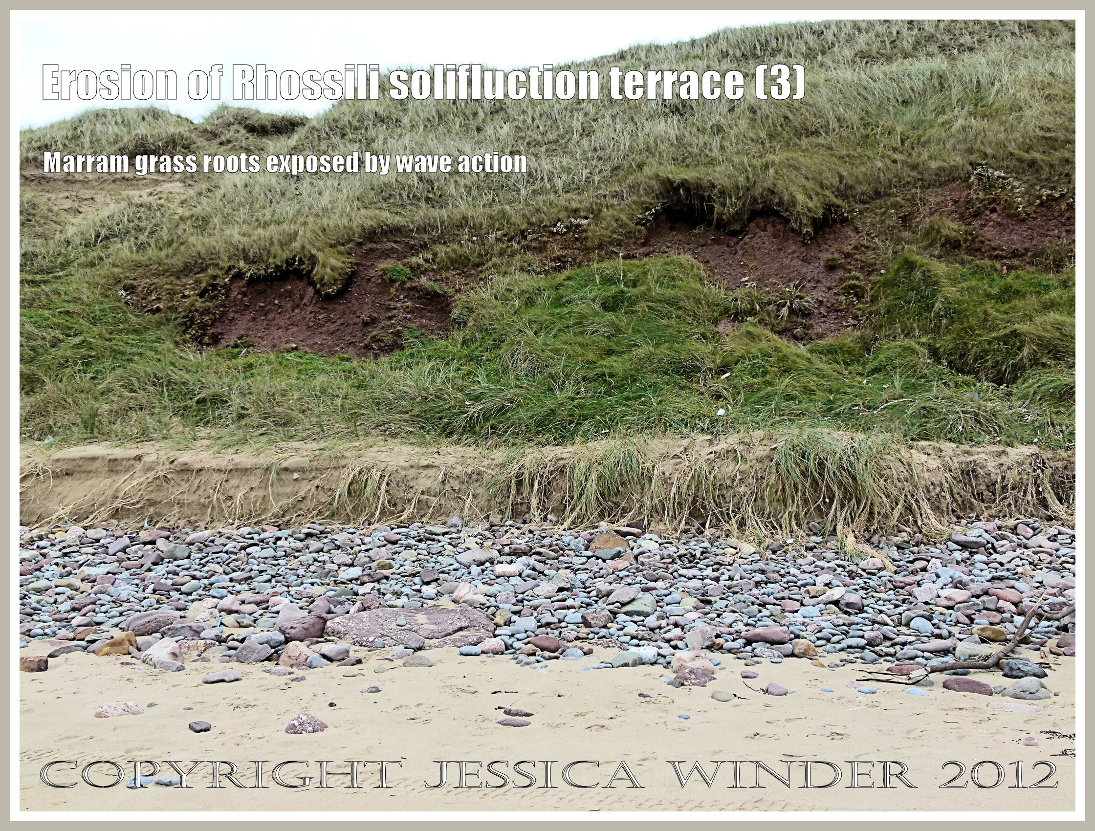 Erosion of Rhossili solifluction terrace (3) – Jessica's Nature Blog