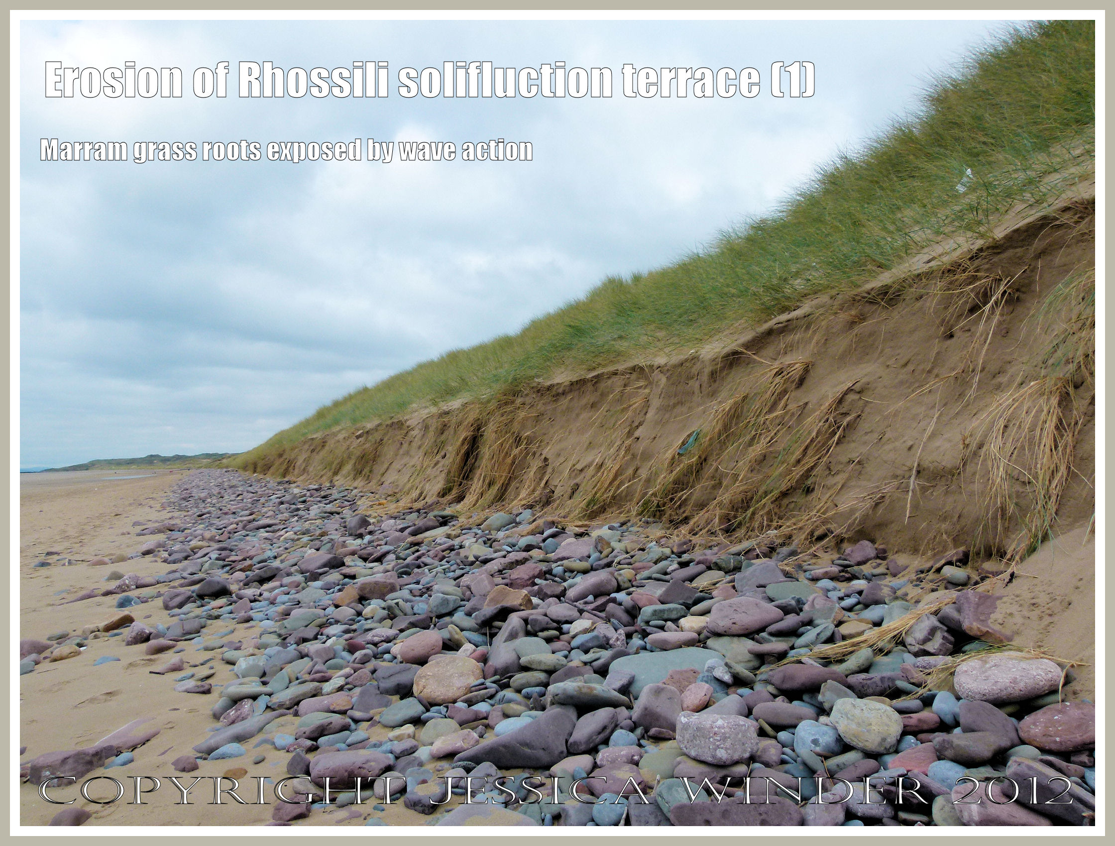 Erosion of Rhossili solifluction terrace by wave action – Jessica's ...