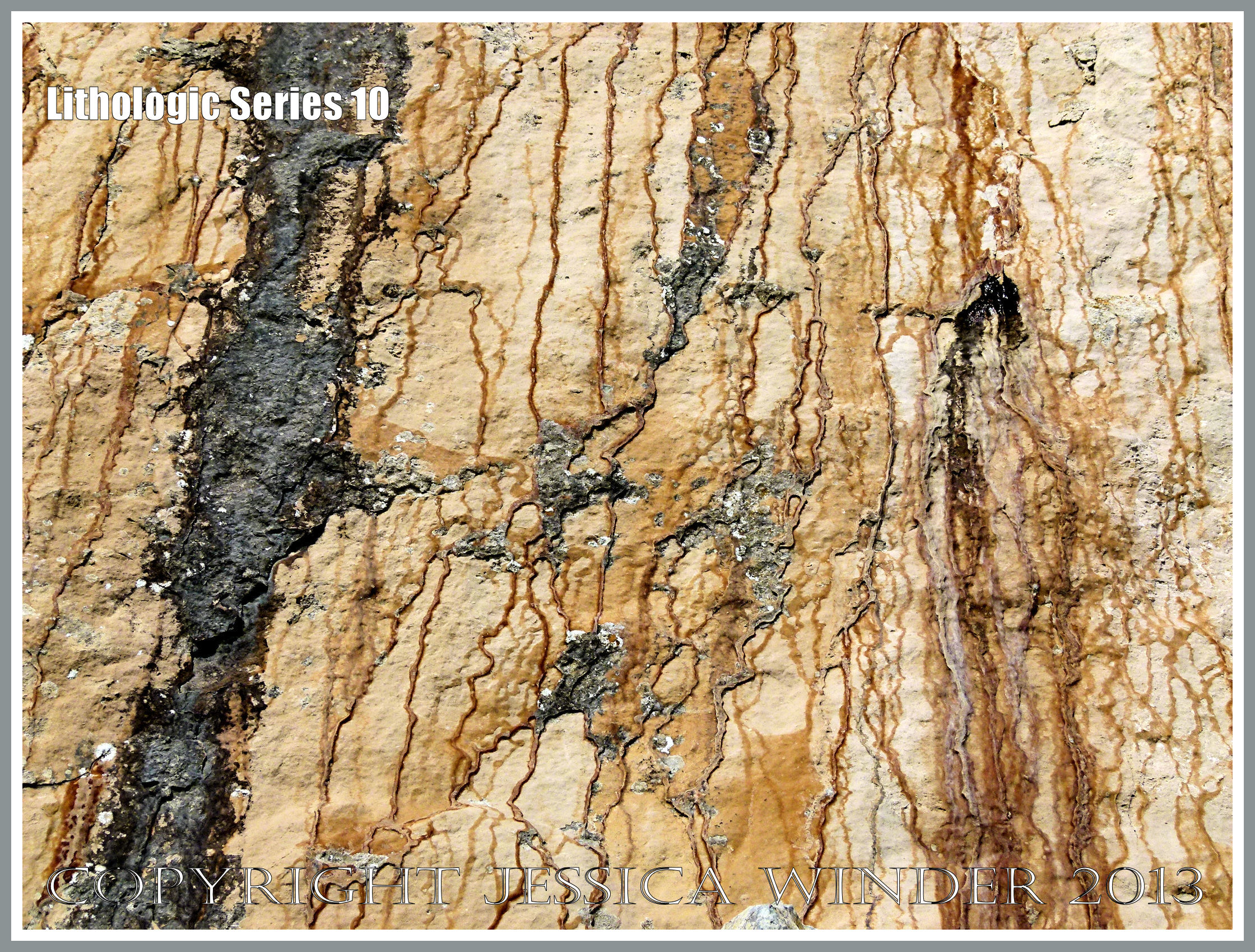 Natural Rock Patterns: Lithologic Series 1-12 – Jessica's Nature Blog