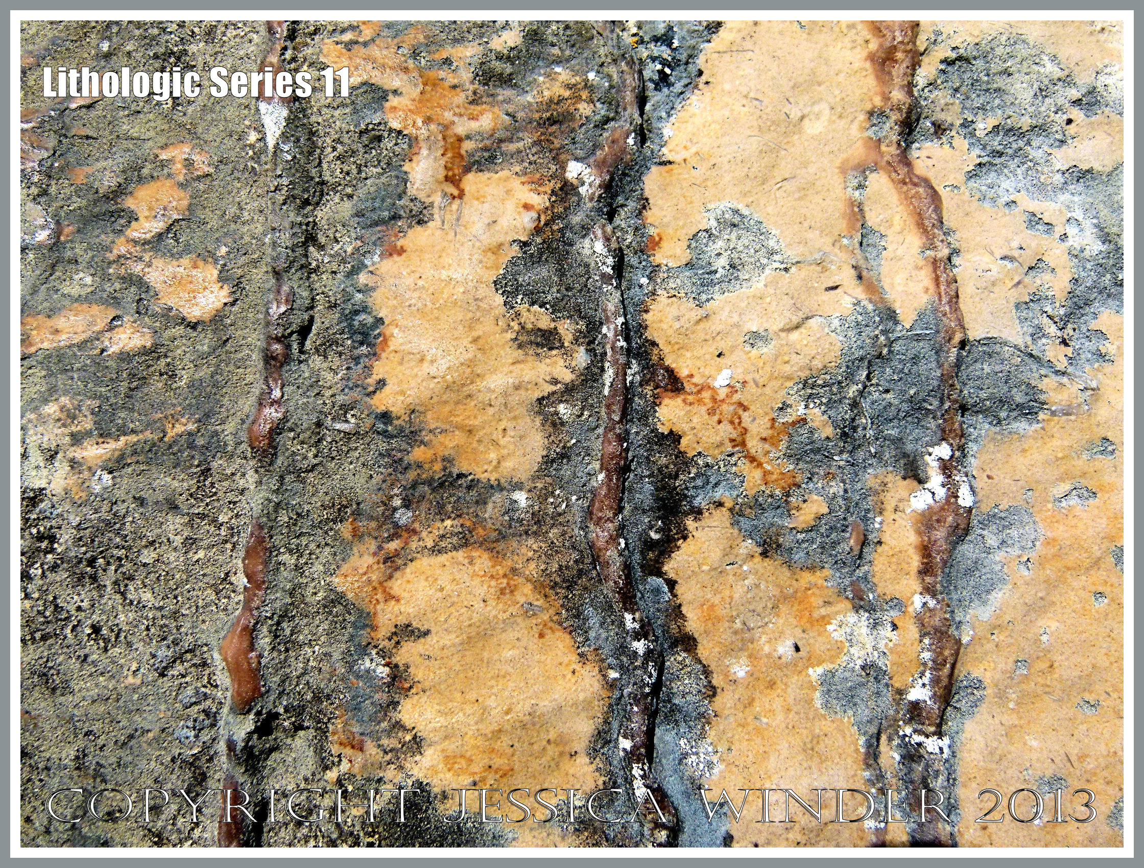 Natural Rock Patterns: Lithologic Series 1-12 – Jessica's Nature Blog
