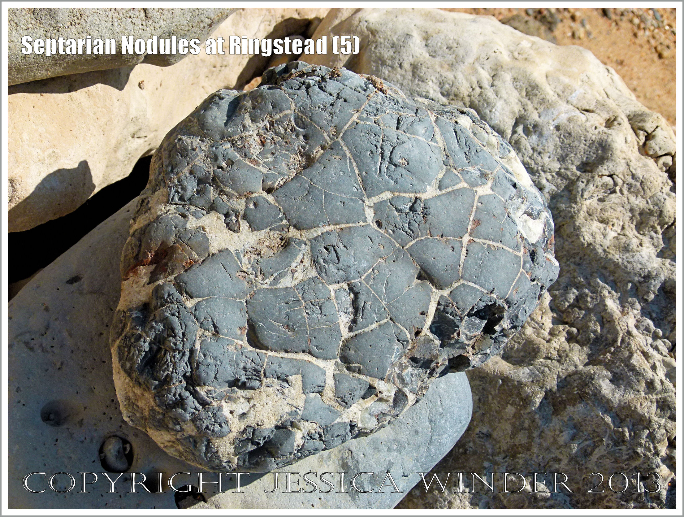 Septarian Nodules at Ringstead – Jessica's Nature Blog