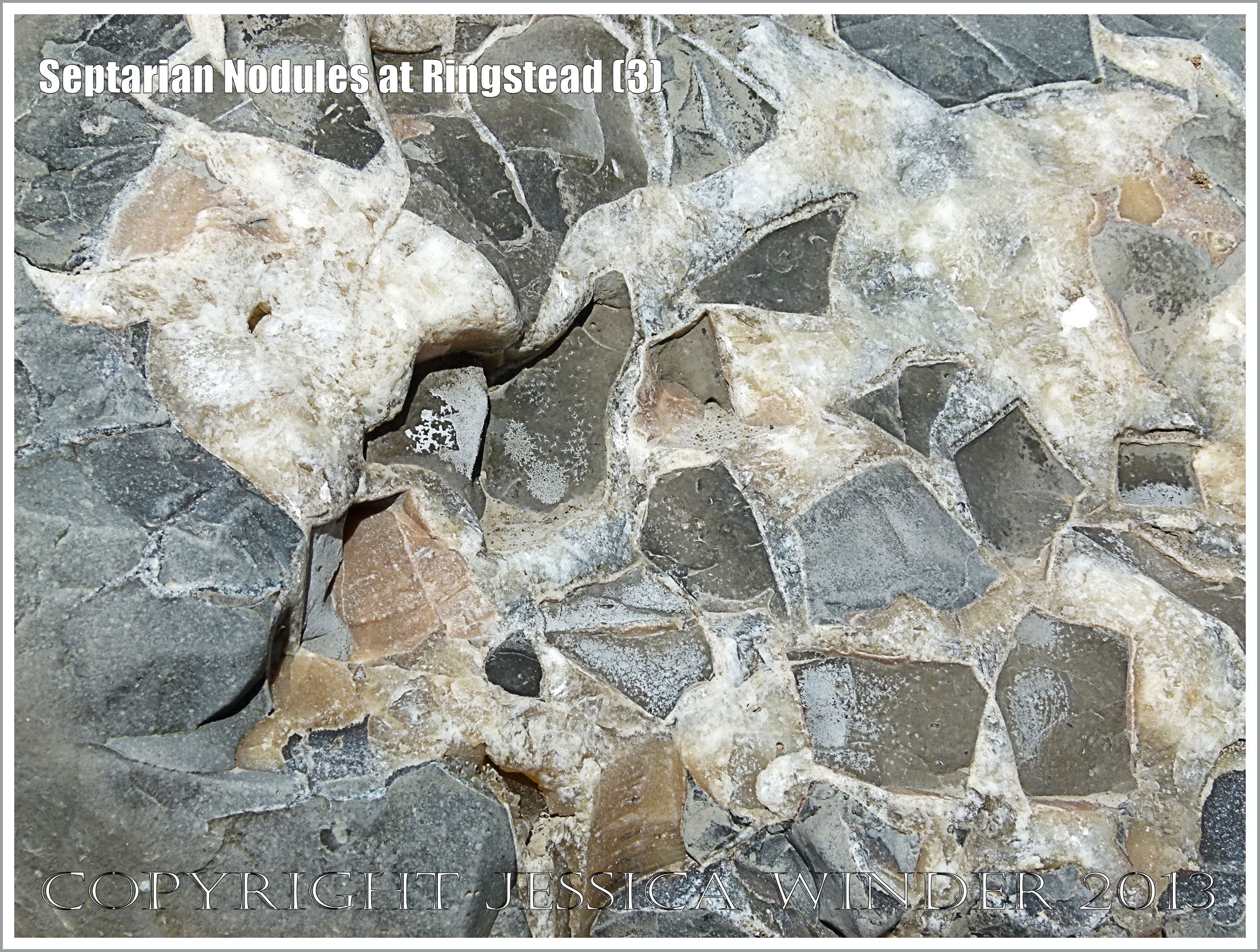 Septarian Nodules at Ringstead – Jessica's Nature Blog