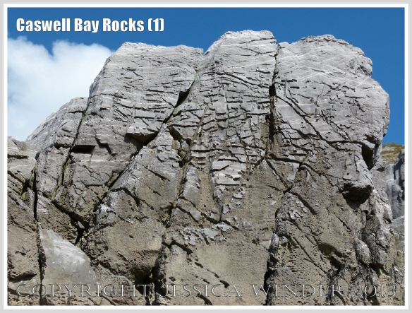 Rocks at Caswell Bay – Jessica's Nature Blog