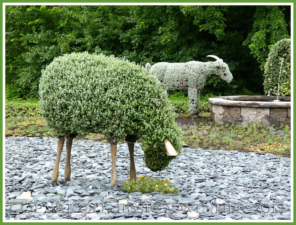 Mosaiculture – The man who planted trees – Jessica's Nature Blog