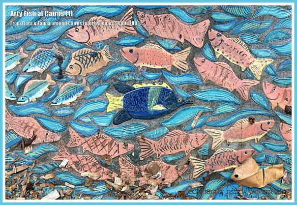 Arty Fish at Cairns – Jessica's Nature Blog