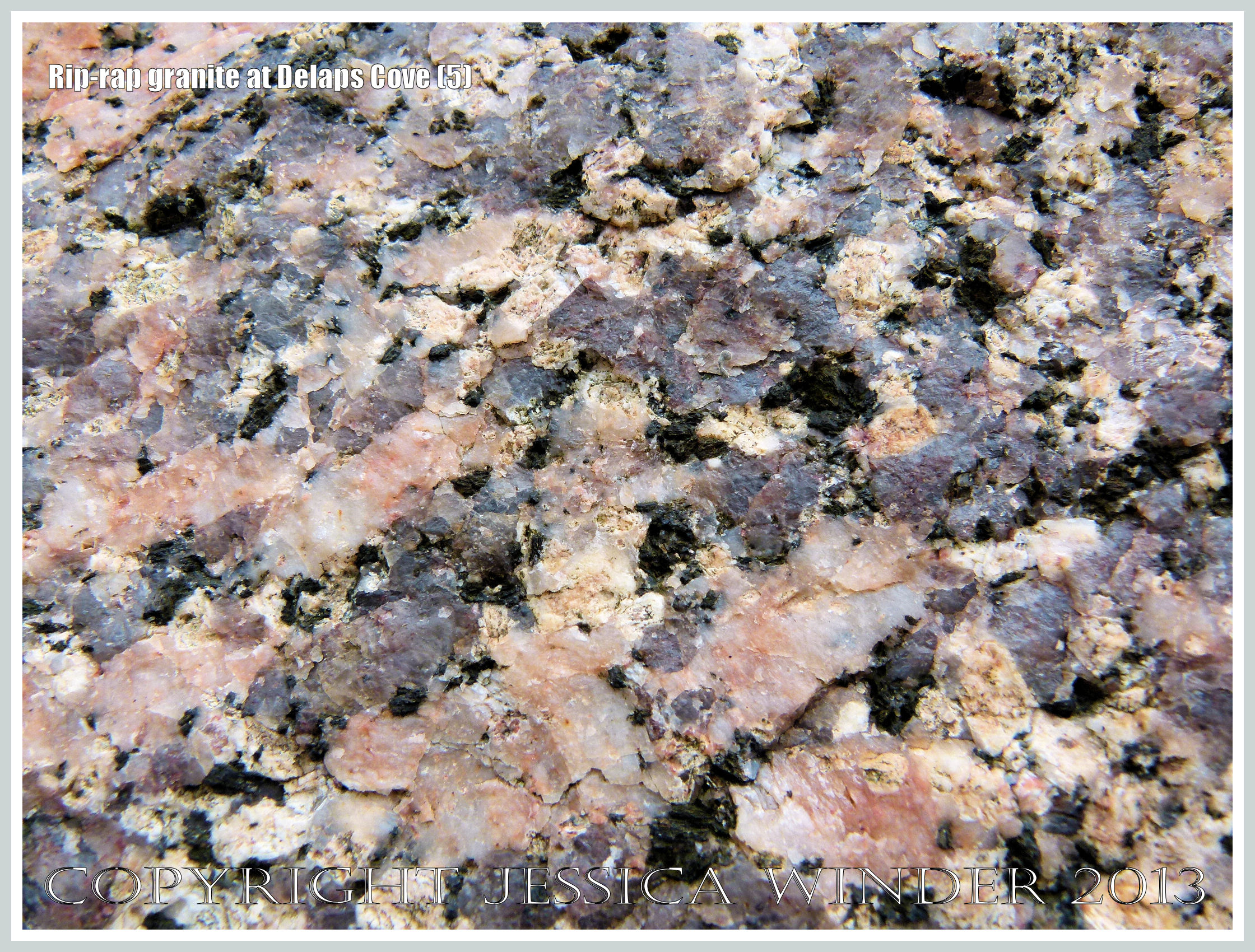 G is for Granite – Jessica's Nature Blog