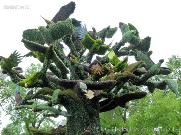 The Bird Tree – Mosaiculture – Jessica's Nature Blog