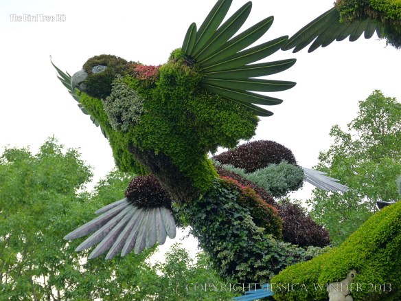 The Bird Tree – Mosaiculture – Jessica's Nature Blog