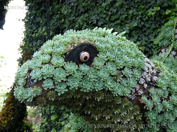 The Bird Tree – Mosaiculture – Jessica's Nature Blog