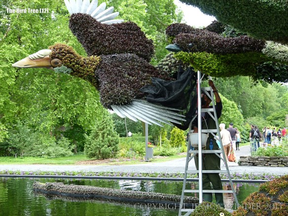 The Bird Tree – Mosaiculture – Jessica's Nature Blog