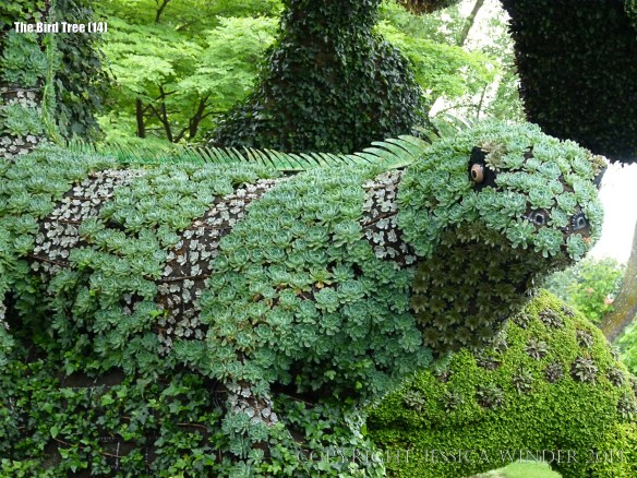 The Bird Tree – Mosaiculture – Jessica's Nature Blog
