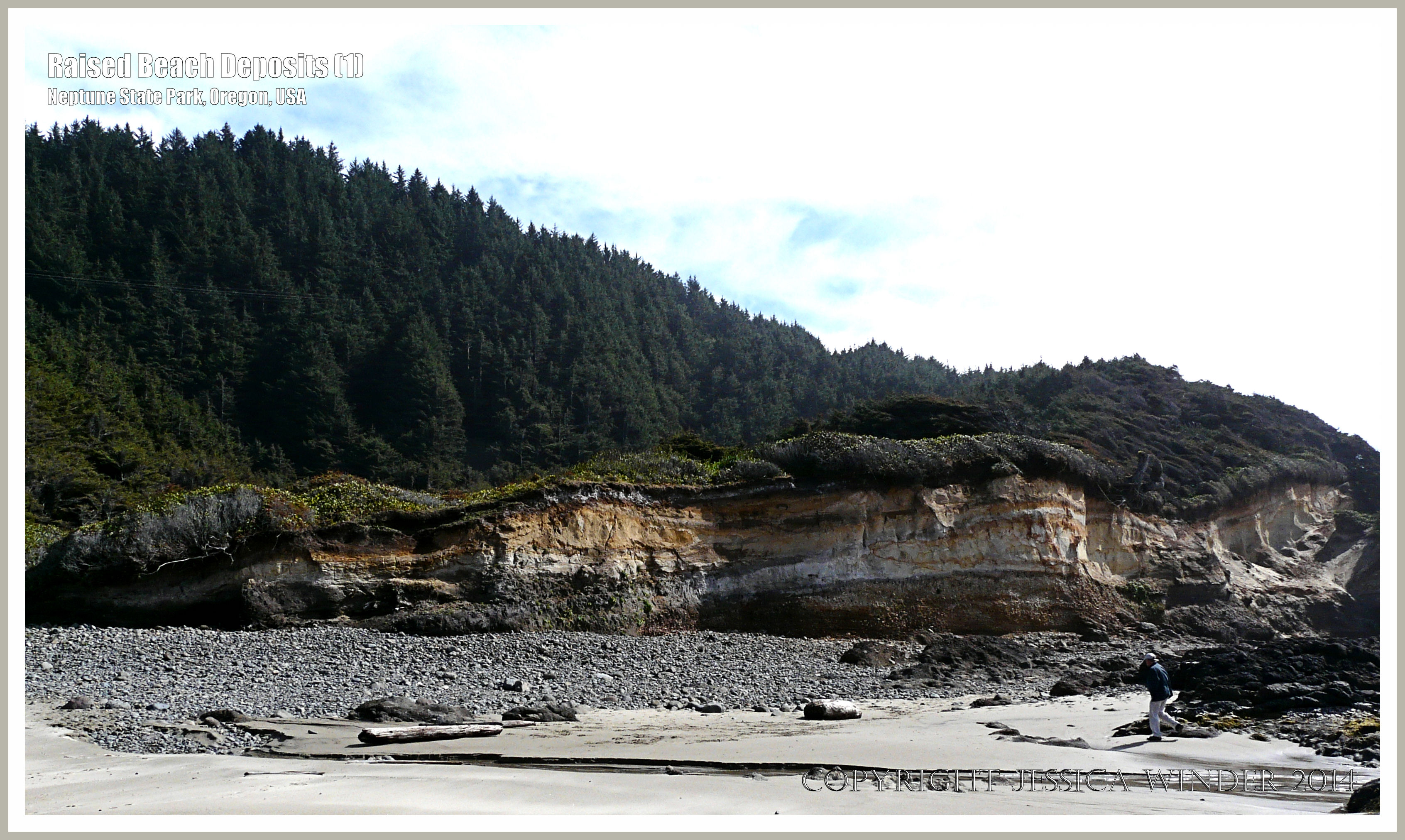 Raised Beach Deposits on the Oregon Coast – Jessica's Nature Blog