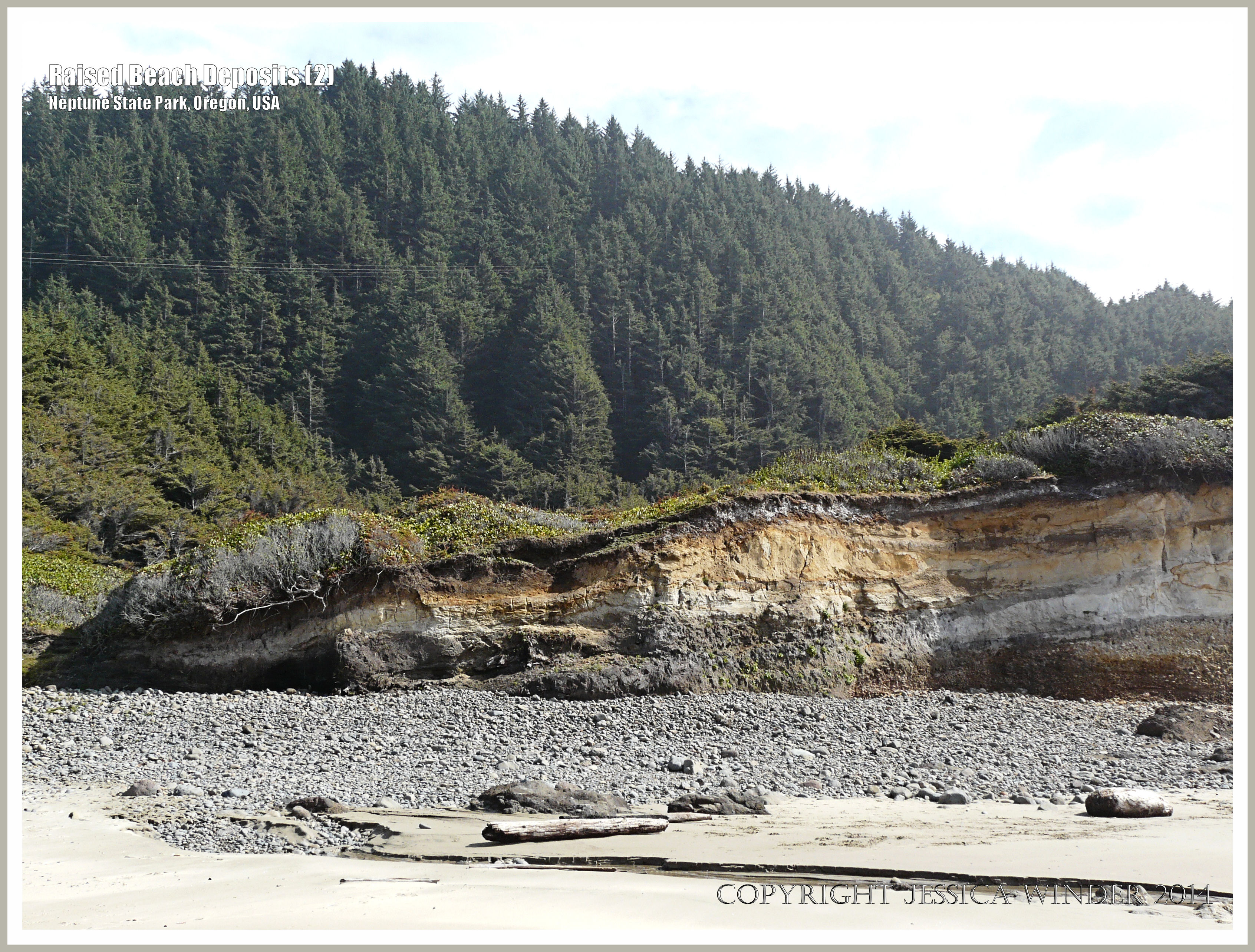 Raised Beach Deposits on the Oregon Coast – Jessica's Nature Blog