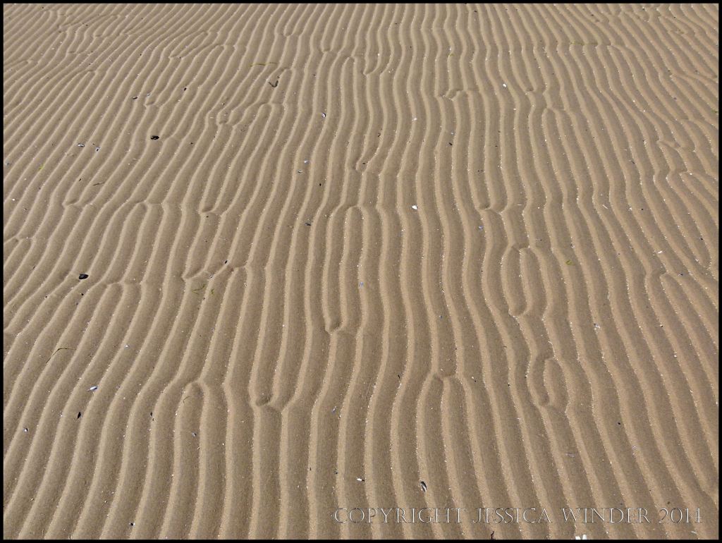 Some different types of seashore sand ripples – Jessica's Nature Blog