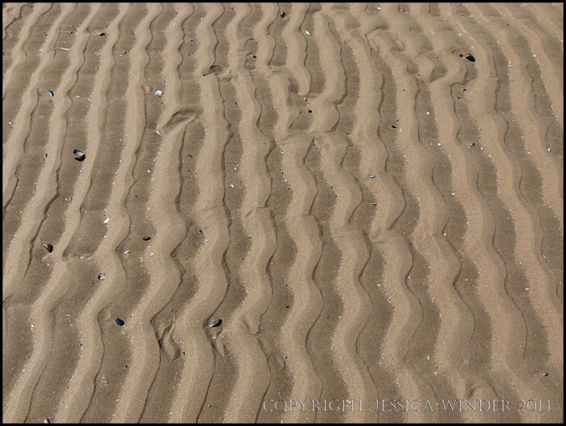 Some different types of seashore sand ripples – Jessica's Nature Blog