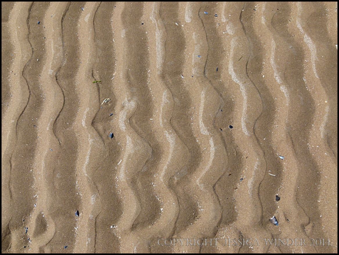 Some different types of seashore sand ripples – Jessica's Nature Blog