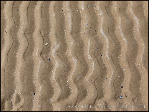Some different types of seashore sand ripples – Jessica's Nature Blog