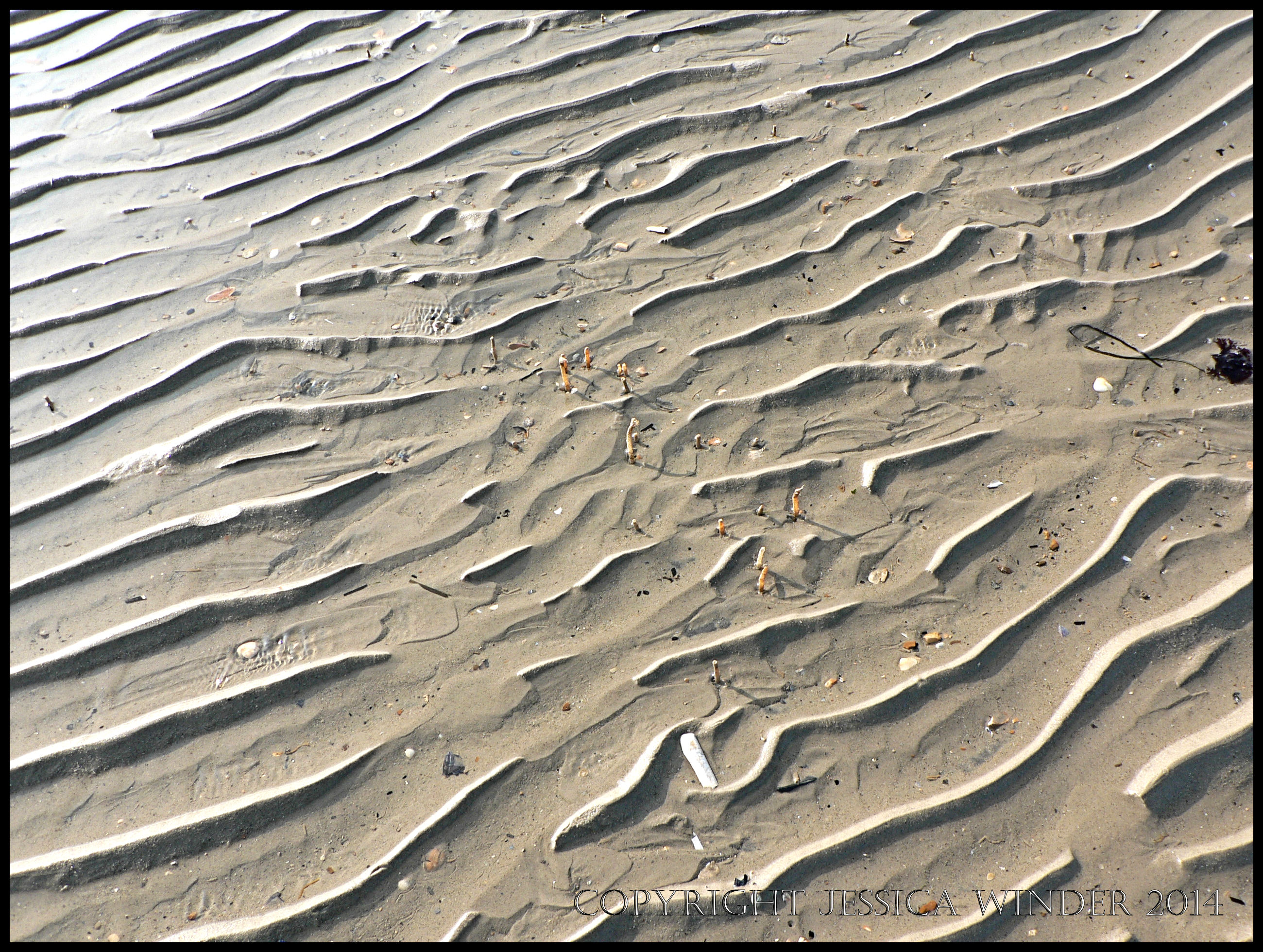 Some different types of seashore sand ripples – Jessica's Nature Blog