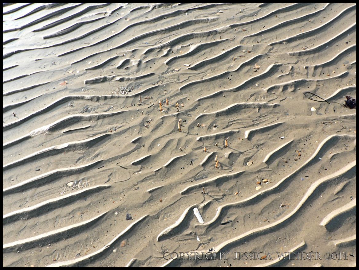 Some different types of seashore sand ripples – Jessica's Nature Blog