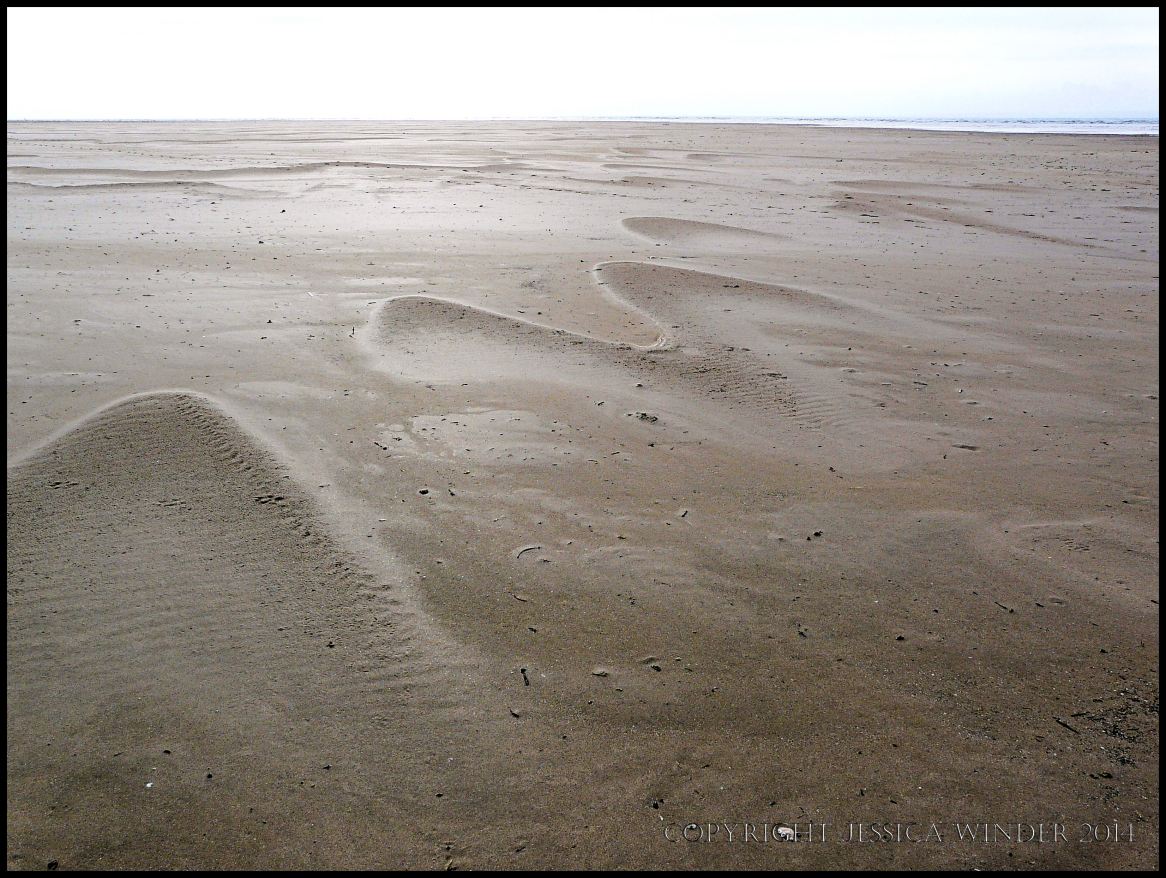 Some different types of seashore sand ripples – Jessica's Nature Blog