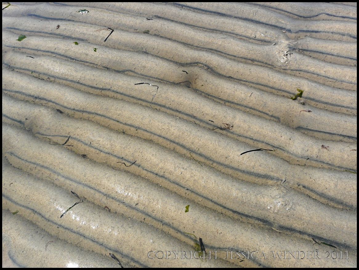 Some different types of seashore sand ripples – Jessica's Nature Blog