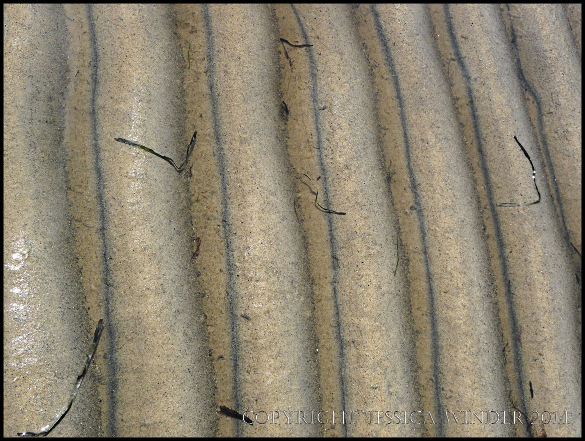 Some different types of seashore sand ripples – Jessica's Nature Blog
