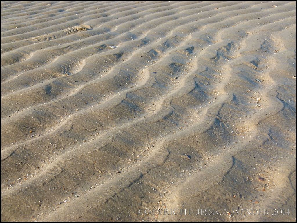 Some different types of seashore sand ripples – Jessica's Nature Blog