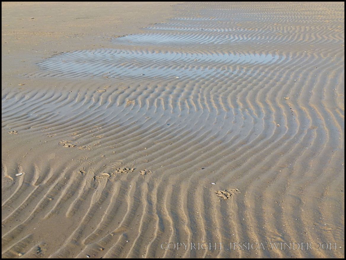 Some different types of seashore sand ripples – Jessica's Nature Blog