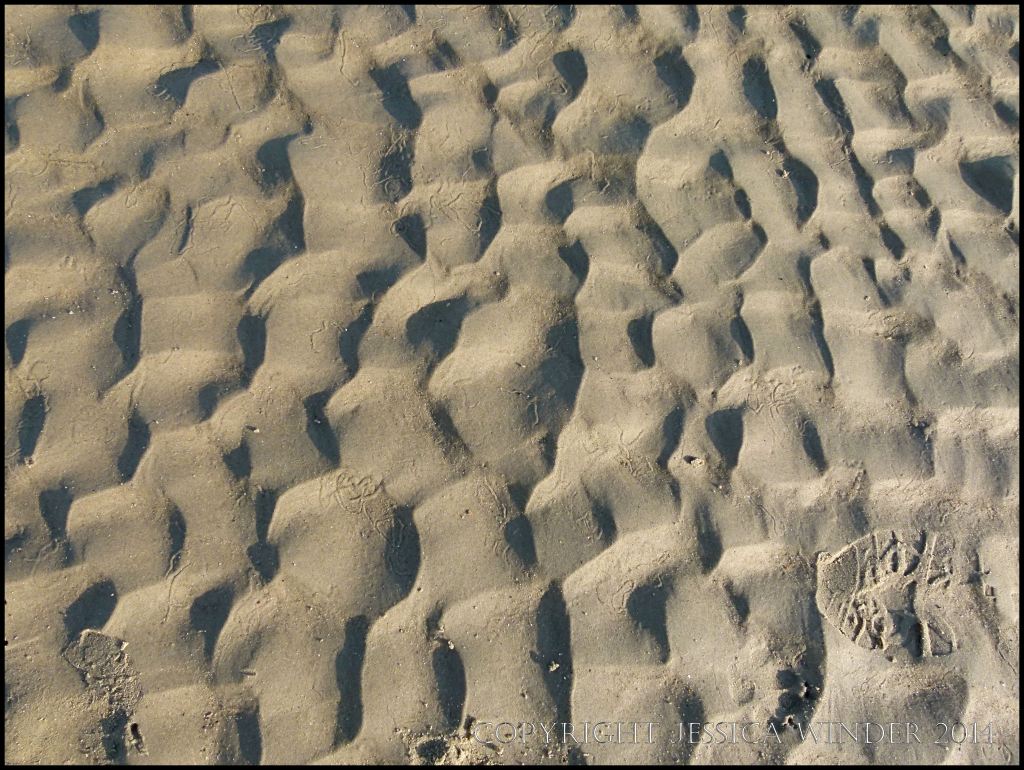 Some different types of seashore sand ripples – Jessica's Nature Blog