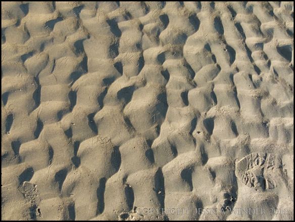 Some different types of seashore sand ripples – Jessica's Nature Blog