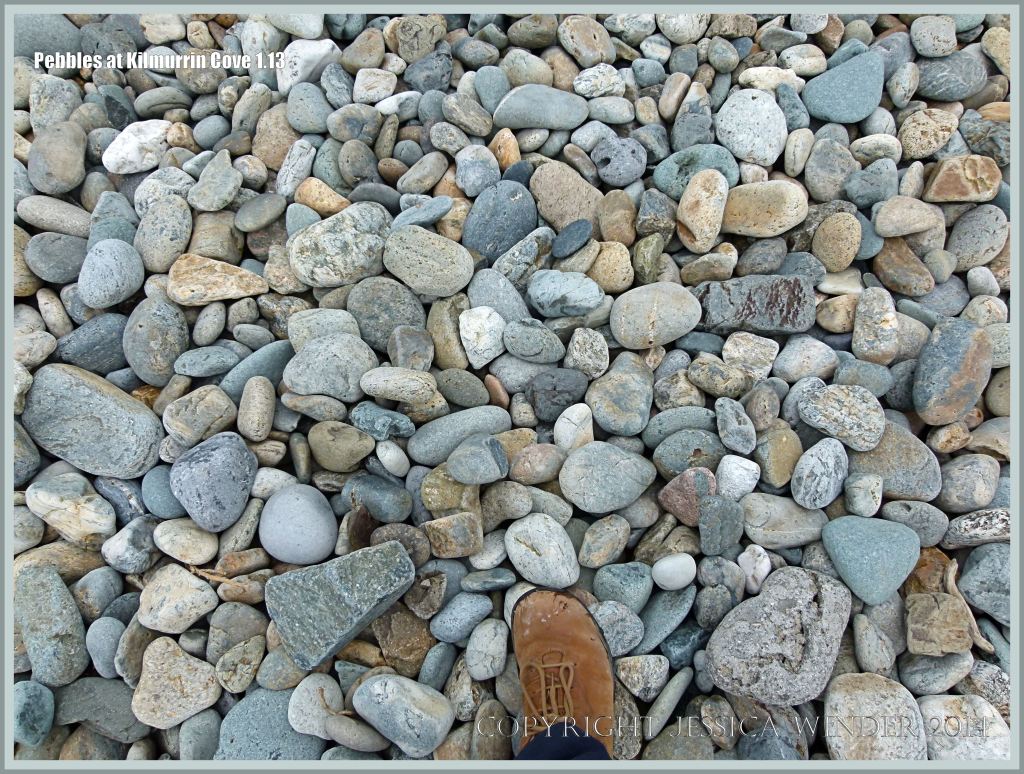 Pebbles at Kilmurrin Cove – Part 1 – Jessica's Nature Blog