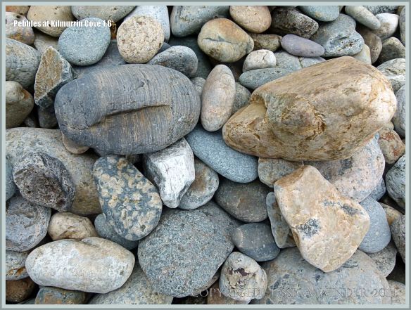 Pebbles at Kilmurrin Cove – Part 1 – Jessica's Nature Blog