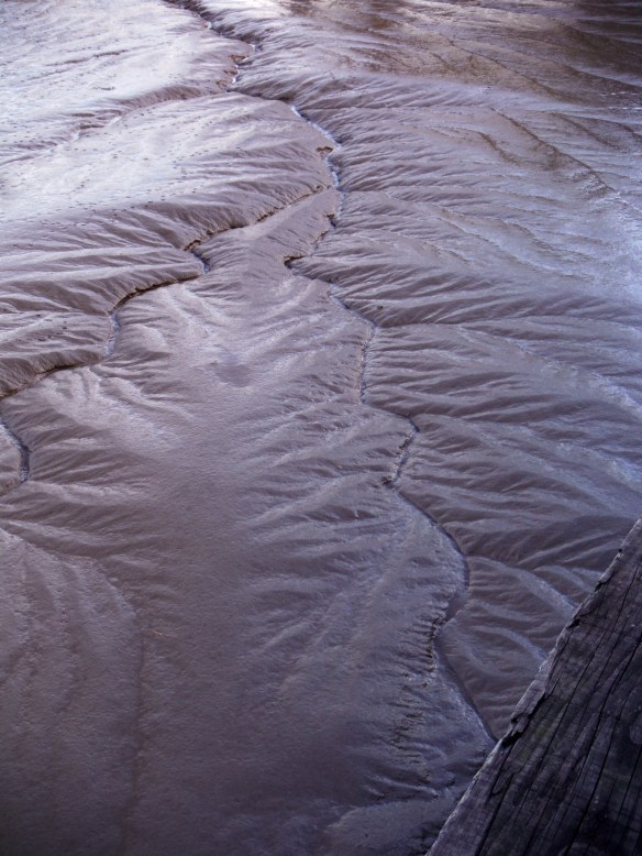 River Mud Patterns 1 – Jessica's Nature Blog