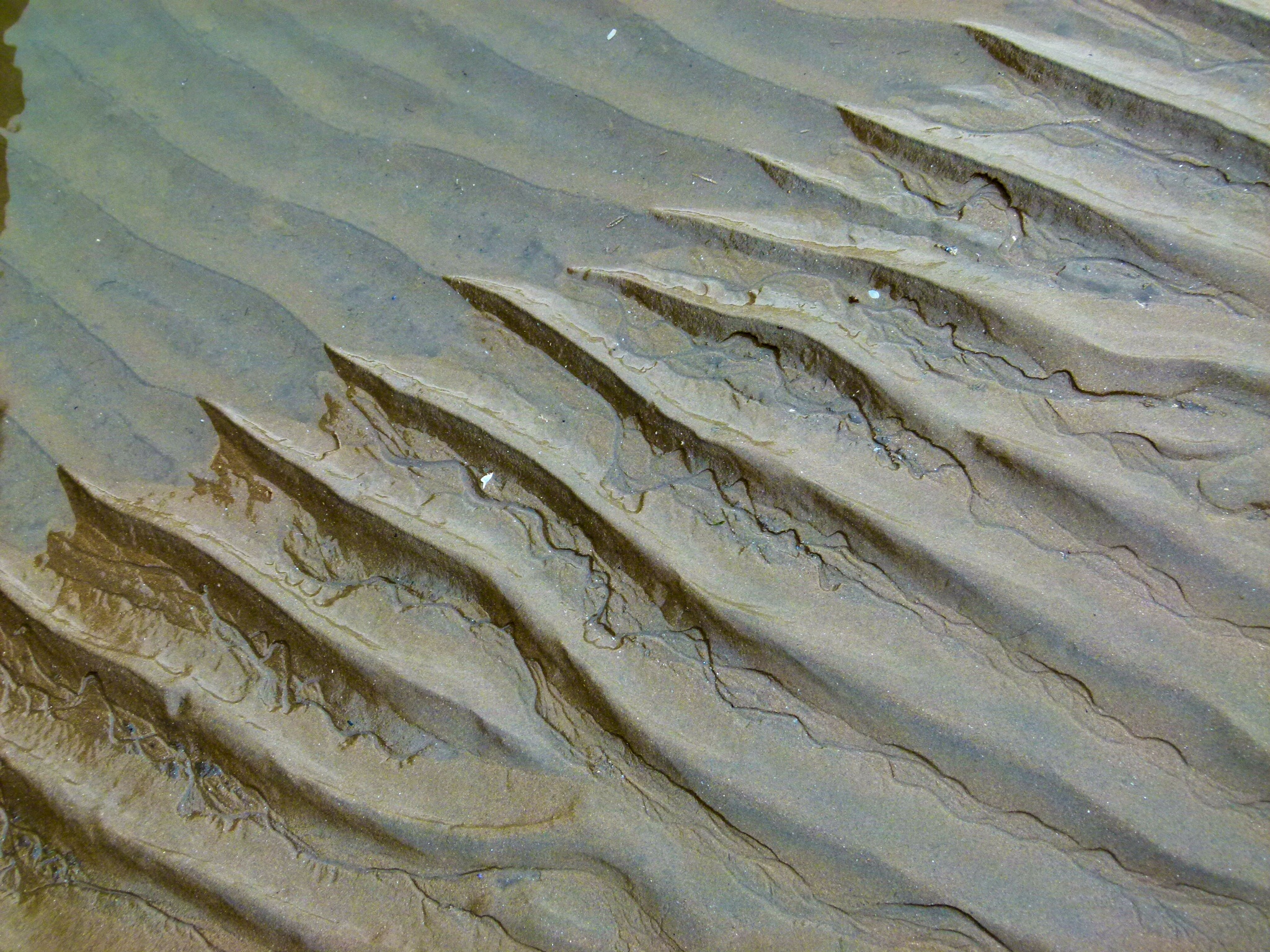Wave-induced sand ripples with drainage patterns – Jessica's Nature Blog