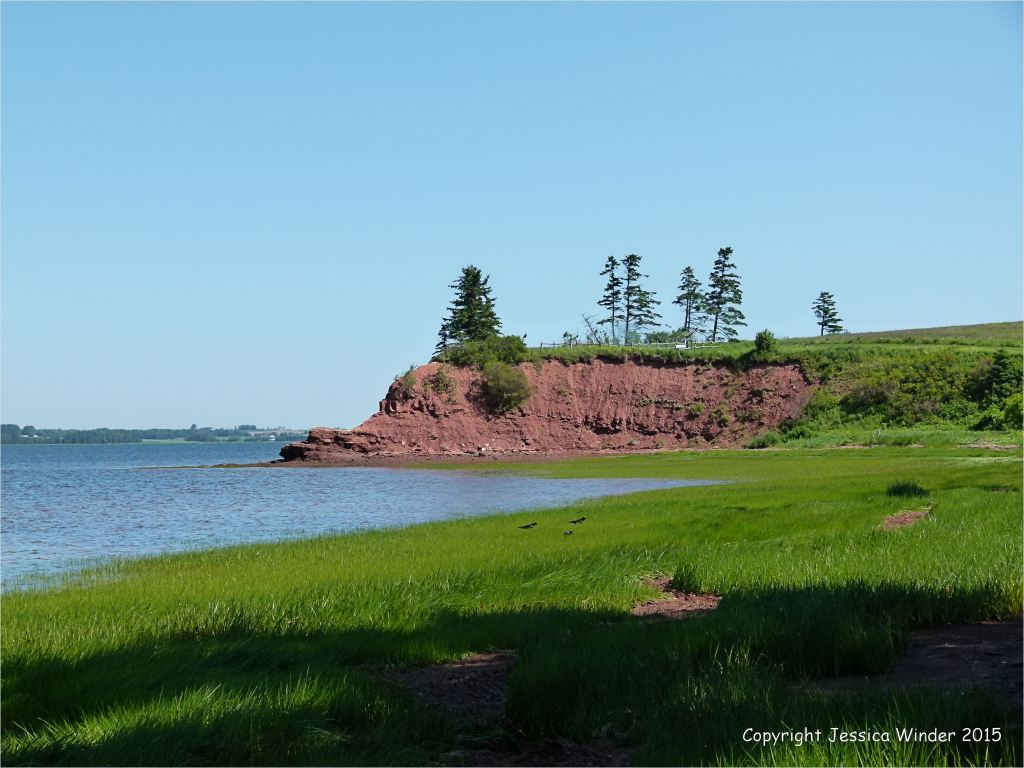 Permian Red Beds at Lord Selkirk Park, PEI – Jessica's Nature Blog
