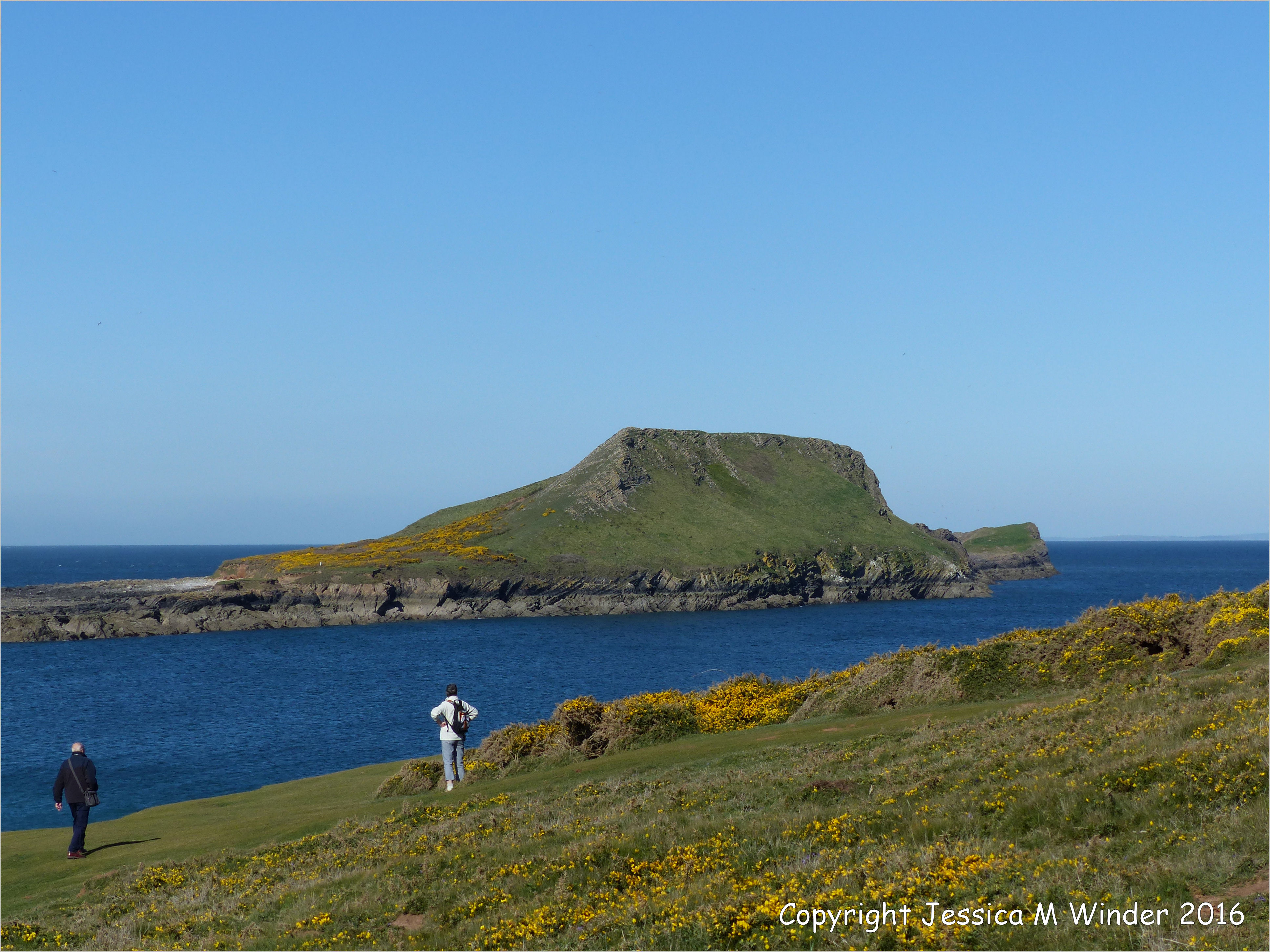 Worms Head West 3 – Jessica's Nature Blog