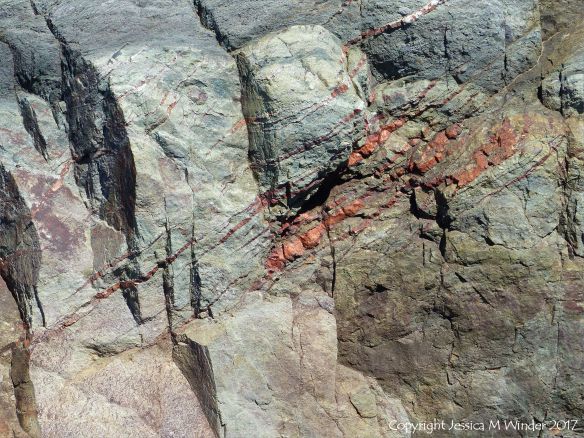 Volcanic Tuff near Louisbourg Lighthouse – Part 3 – Jessica's Nature Blog