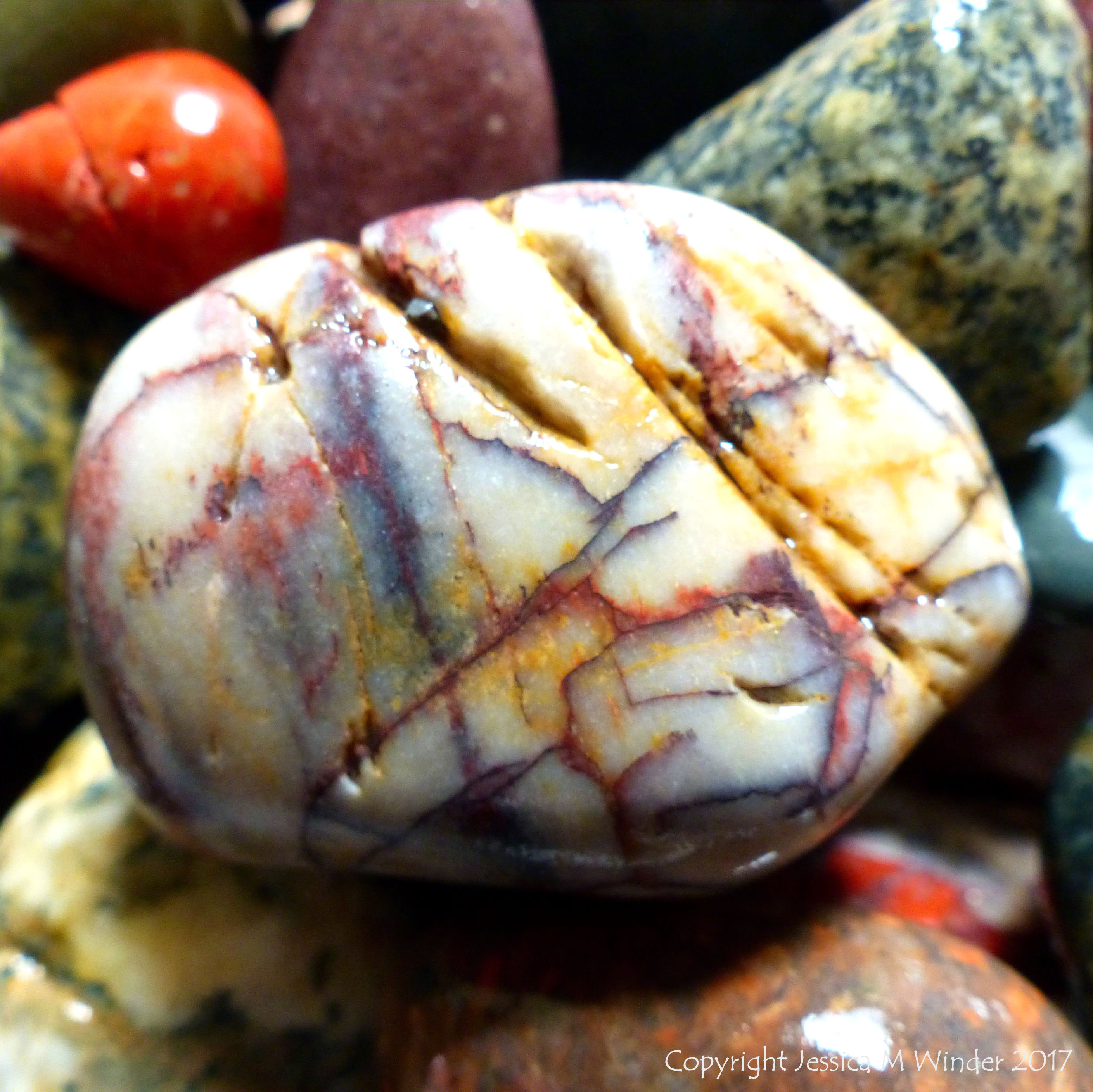 Patterned Pebble 1 – Jessica's Nature Blog