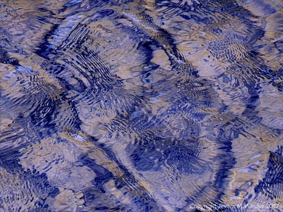 Shallow Water Tidal Ripple Patterns 11-14 – Jessica's Nature Blog