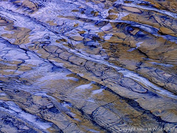 Shallow Water Tidal Ripple Patterns 8-10 – Jessica's Nature Blog
