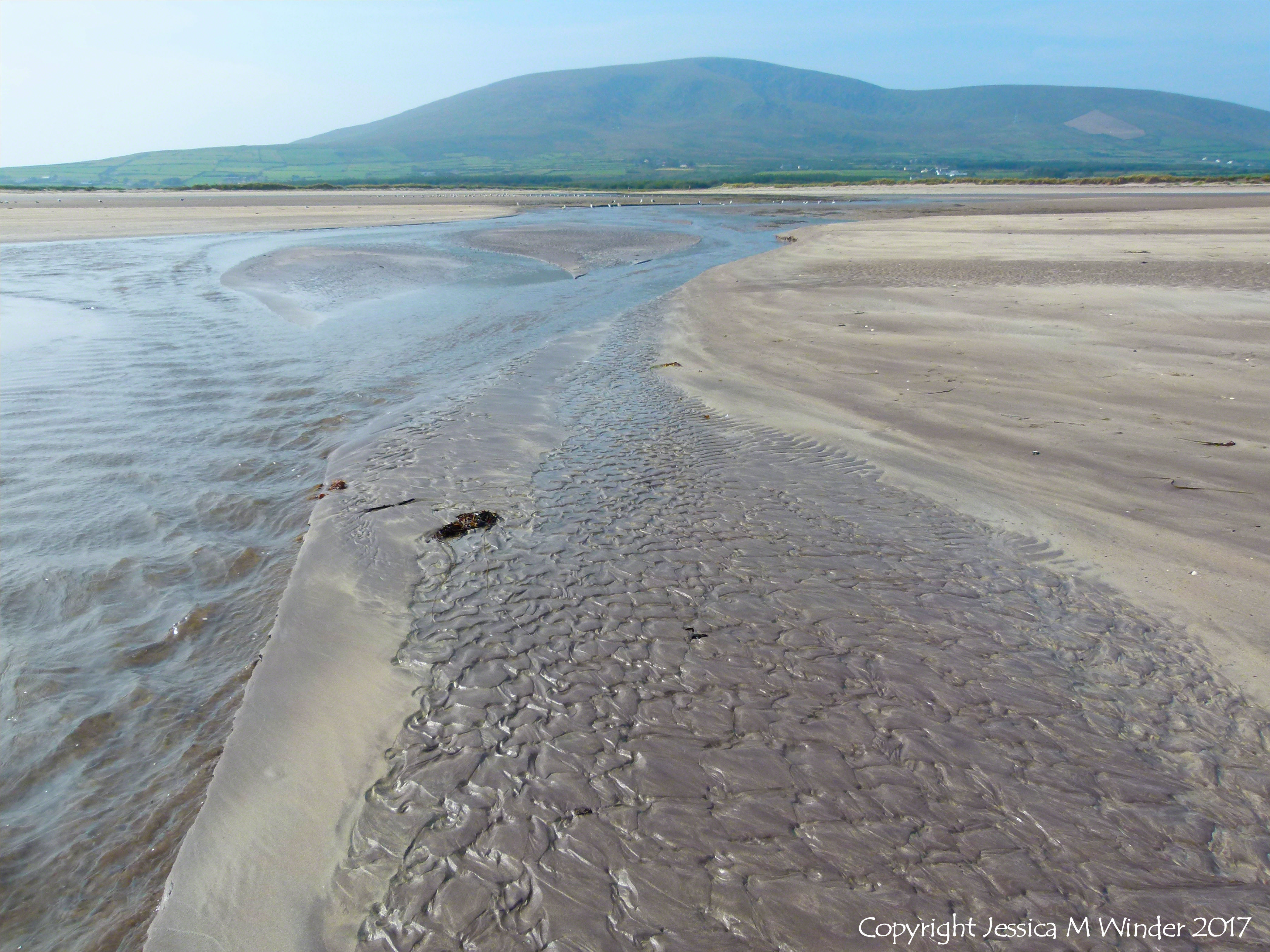Sand Ripples at Ventry Bay – Jessica's Nature Blog